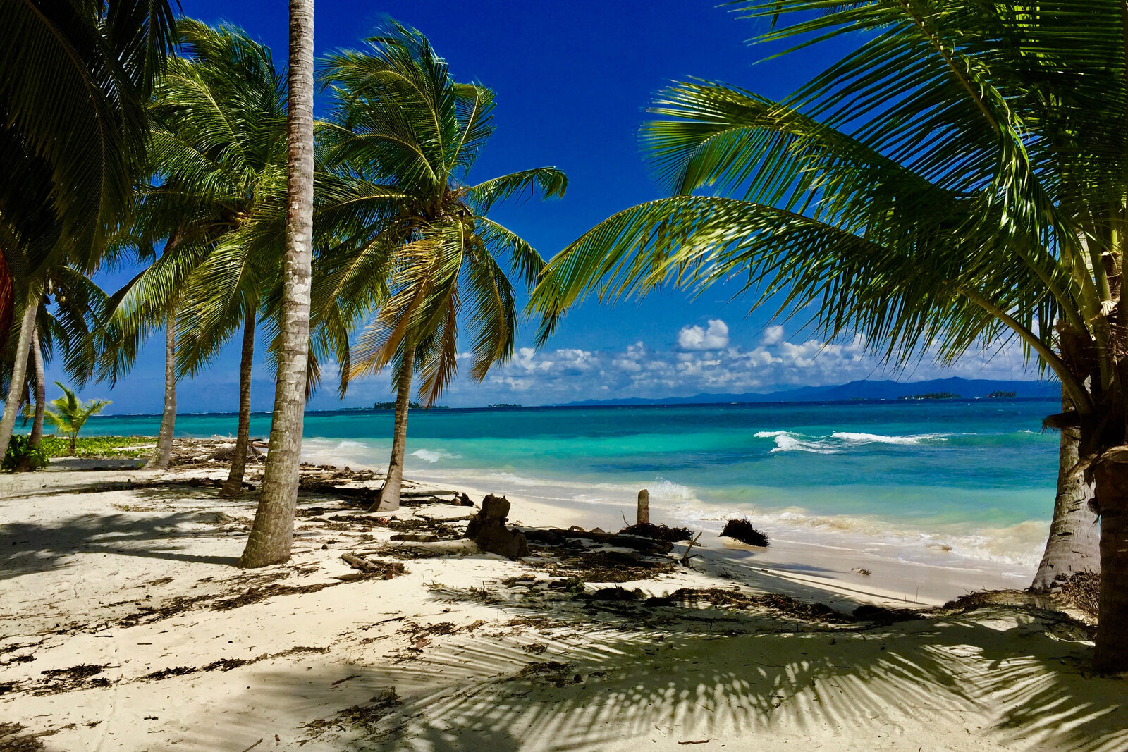 How to Become a Citizen of Panama | Housearch Blog