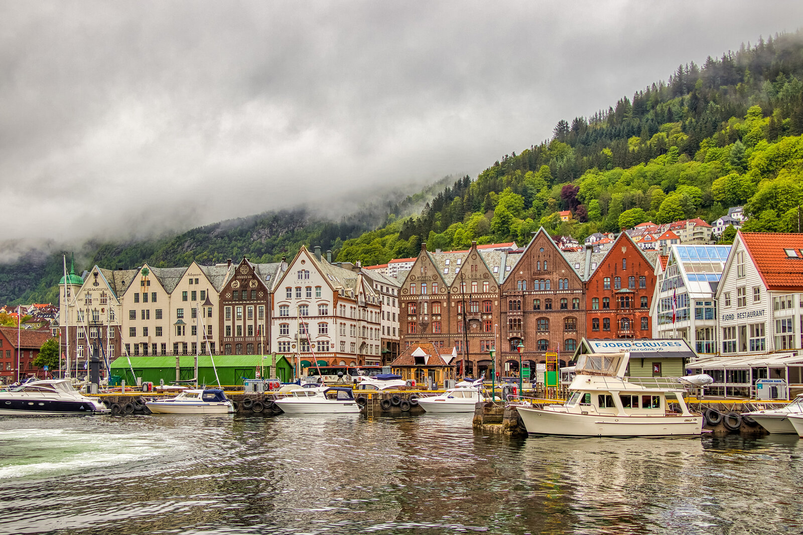 How to Apply for Permanent Residency in Norway | Housearch Blog