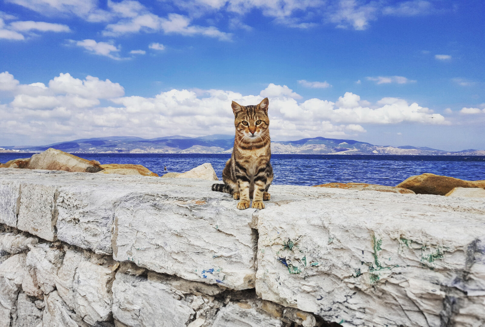 Life in Turkey for British Expats | Housearch Blog